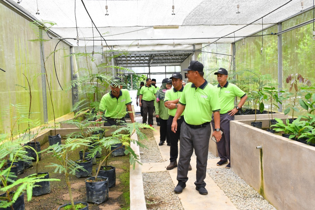 Campaign to Plant 100 million Trees – NDPE PKPP